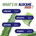 ALOCANE® Max Maximum Strength Emergency Burn Spray with Antiseptic, 4% ...