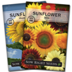 Sunflower Pro Cut Orange F1 Seed - Walmart.com