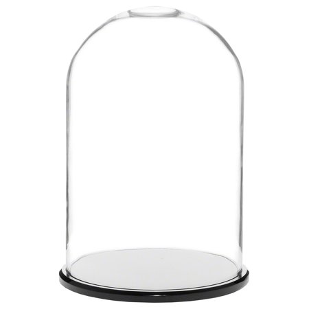 Plymor 8" x 12" Glass Display Dome Cloche (Black Acrylic Base ...