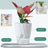 Fdelink Basin Self Watering Planter African Violet Pots Clear Automatic ...