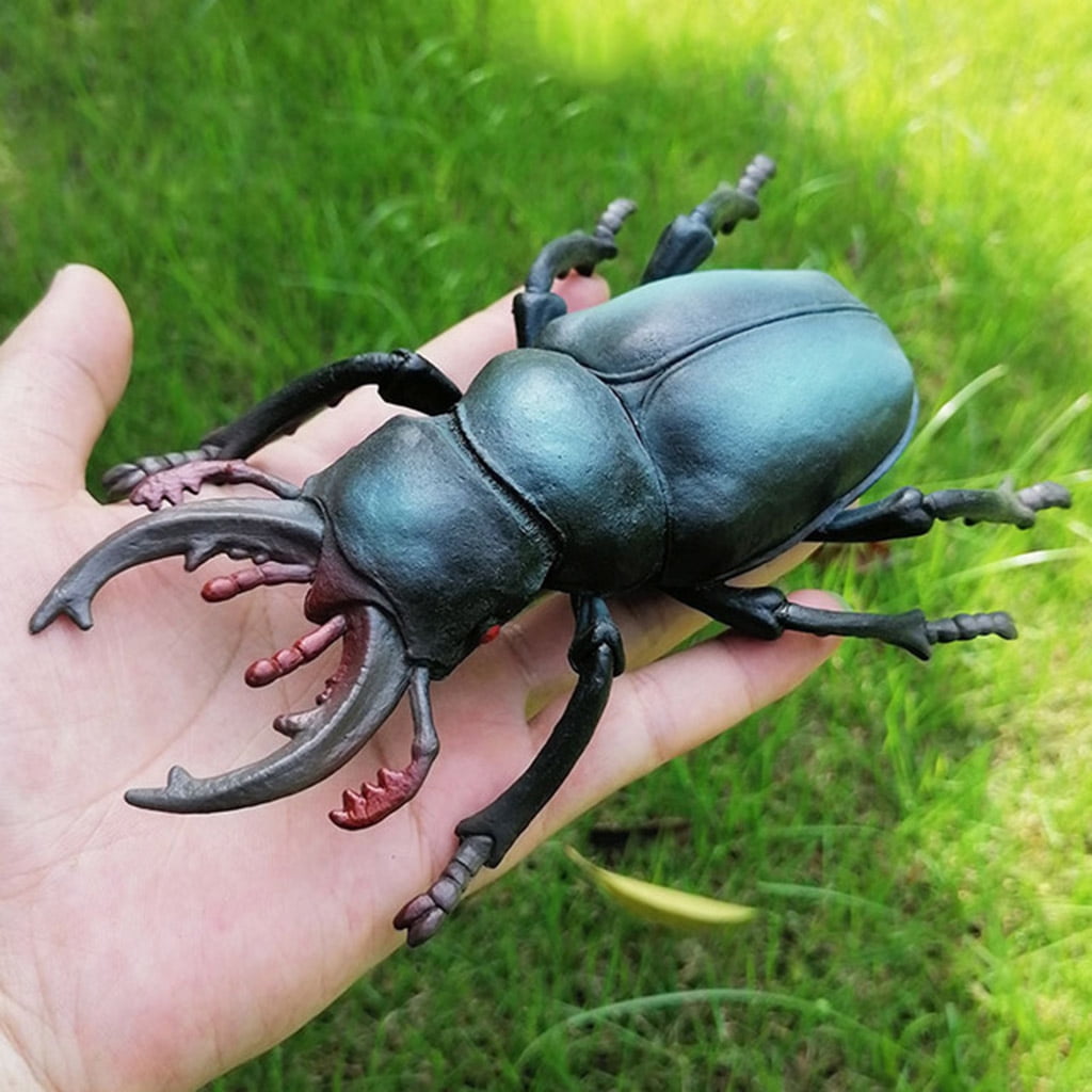 Sorrowso Creepy Lifelike Fake Spiders Cricket Ladybug Grasshoppe Insect ...