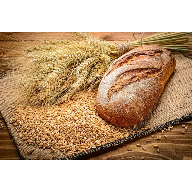 Wheat Berries - 5 Pounds - Farm Fresh Hard Red Winter Wheat Berries ...