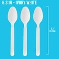 BEIDOU-PAC 250 Count Compostable Disposable Non Plastic Spoons, Large ...