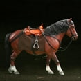 Rushawy 1/12 Scale Horse Figure Collectible Ornaments Realistic ...