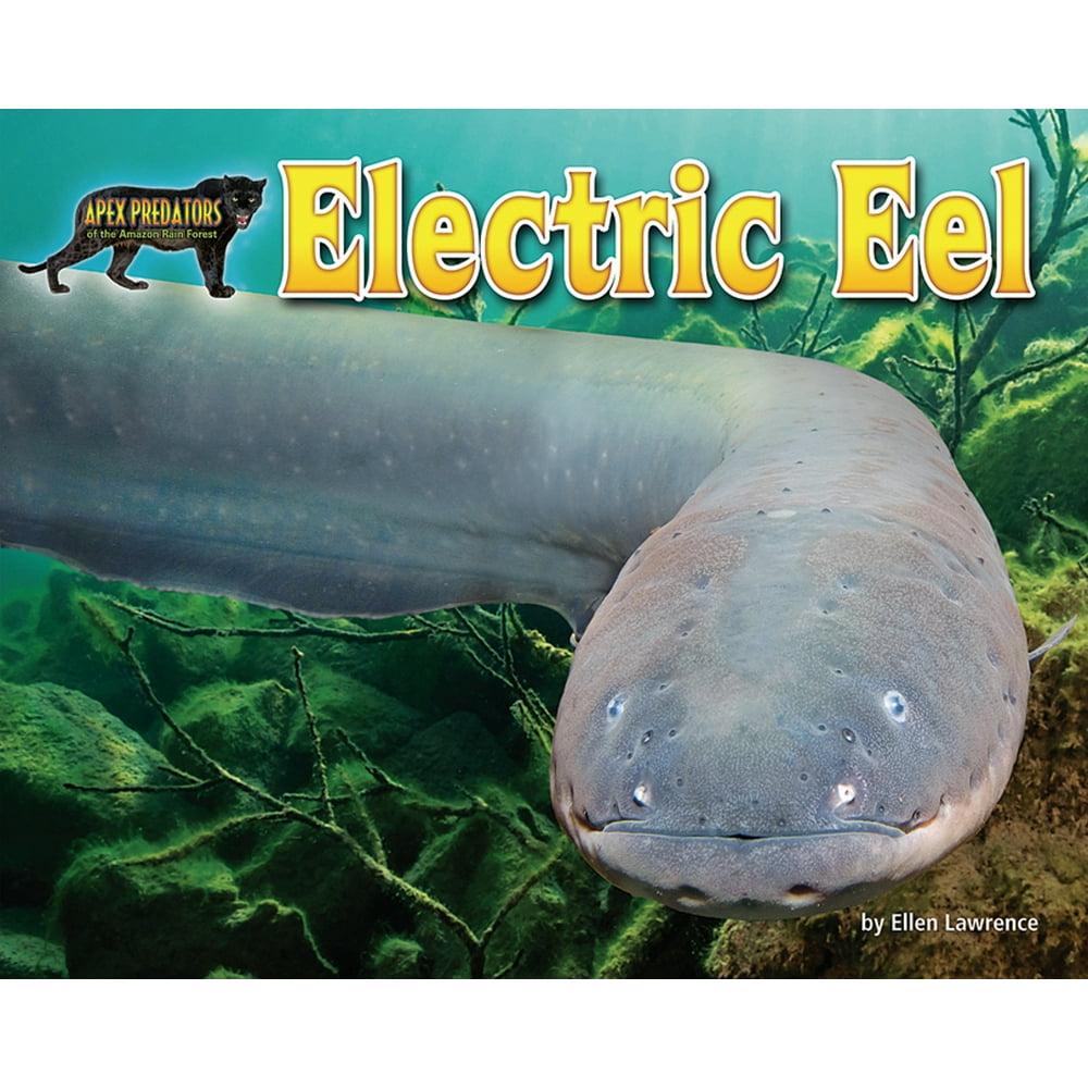Electric Eel - Walmart.com - Walmart.com