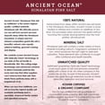 SaltWorks Ancient Ocean Himalayan TGF4 Pink Salt, Fine Grain, 5 Pound ...