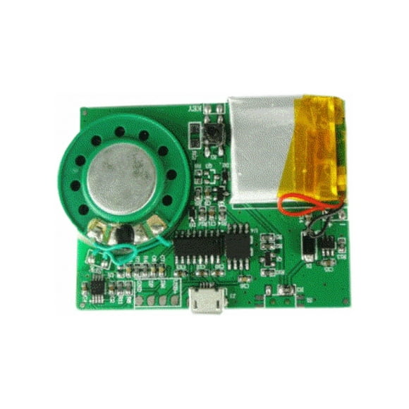 Sound Module Greeting Cards