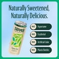 Zevia Organic Zero Sugar Green Tea, Sweet Soft Drink, 12 Fl Oz (Pack of ...