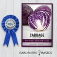 Red Acre Cabbage Seeds - Walmart.com