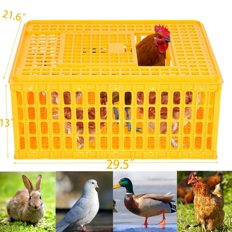 Poultry Carrier Heavy Duty Plastic Crate - Chicken Transport Cage For ...
