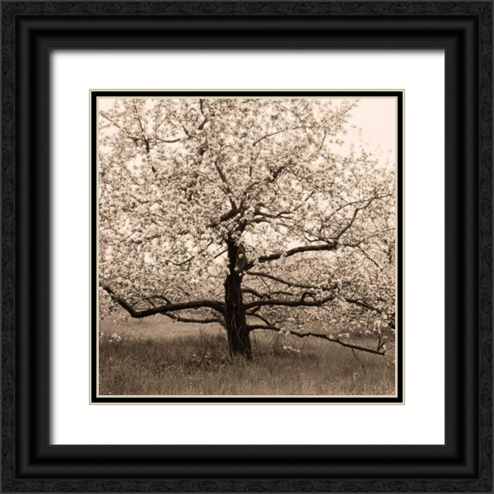 Triebert, Christine 12x12 Black Ornate Wood Framed with Double Matting ...
