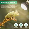 Reptile Heat Lamp Bulbs 75W (2-) - Efficient Heating & Simulated ...