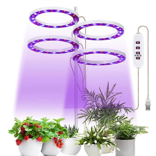 Luces de cultivo Halo Angel Ring para plantas pequeñas de interior, luz ...