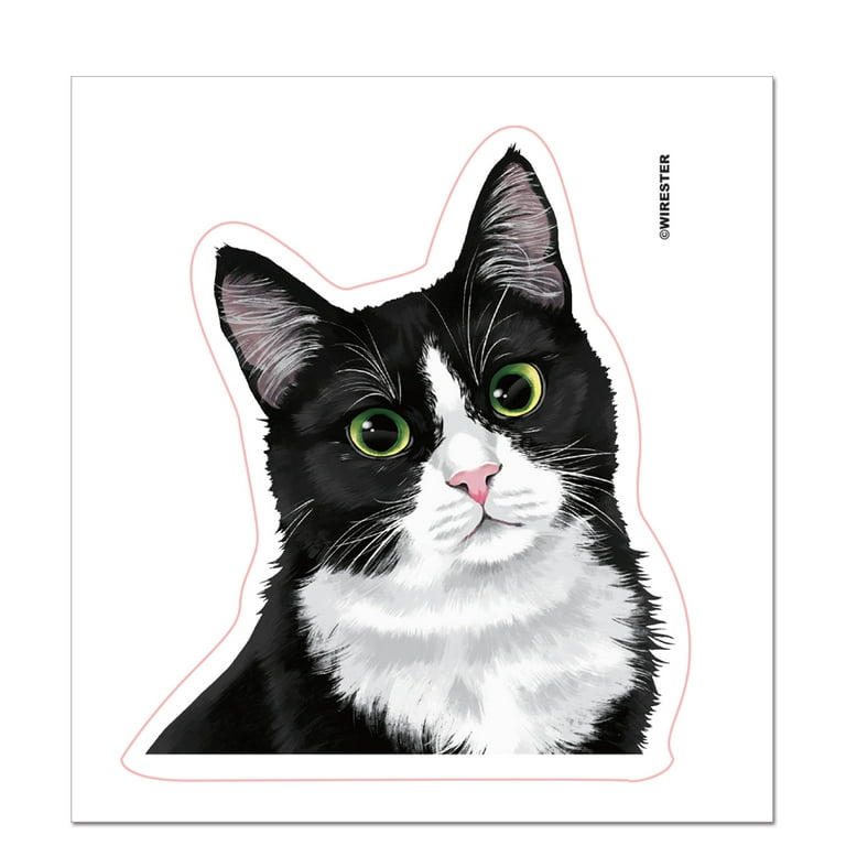 Tuxedo Cat Clipart