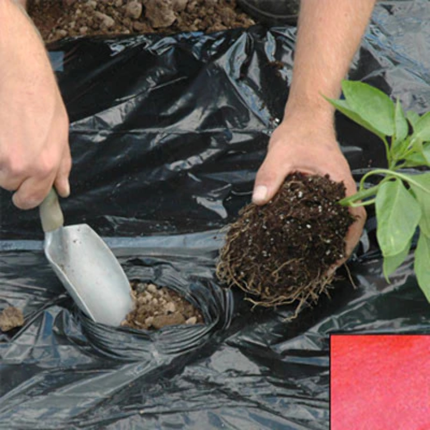 Flora Flow All-In-One Mat SRM Red Kit 8' - Walmart.com