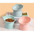 Tilted Cat Food Bowl - Whisker Friendly, Anti Vomiting, Slanted, Cat ...