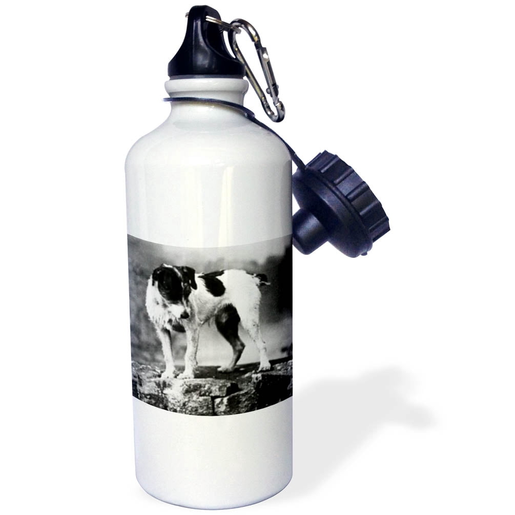 Jack Russell Terrier (Black and White) 21 oz Sports Water Bottle wb ...