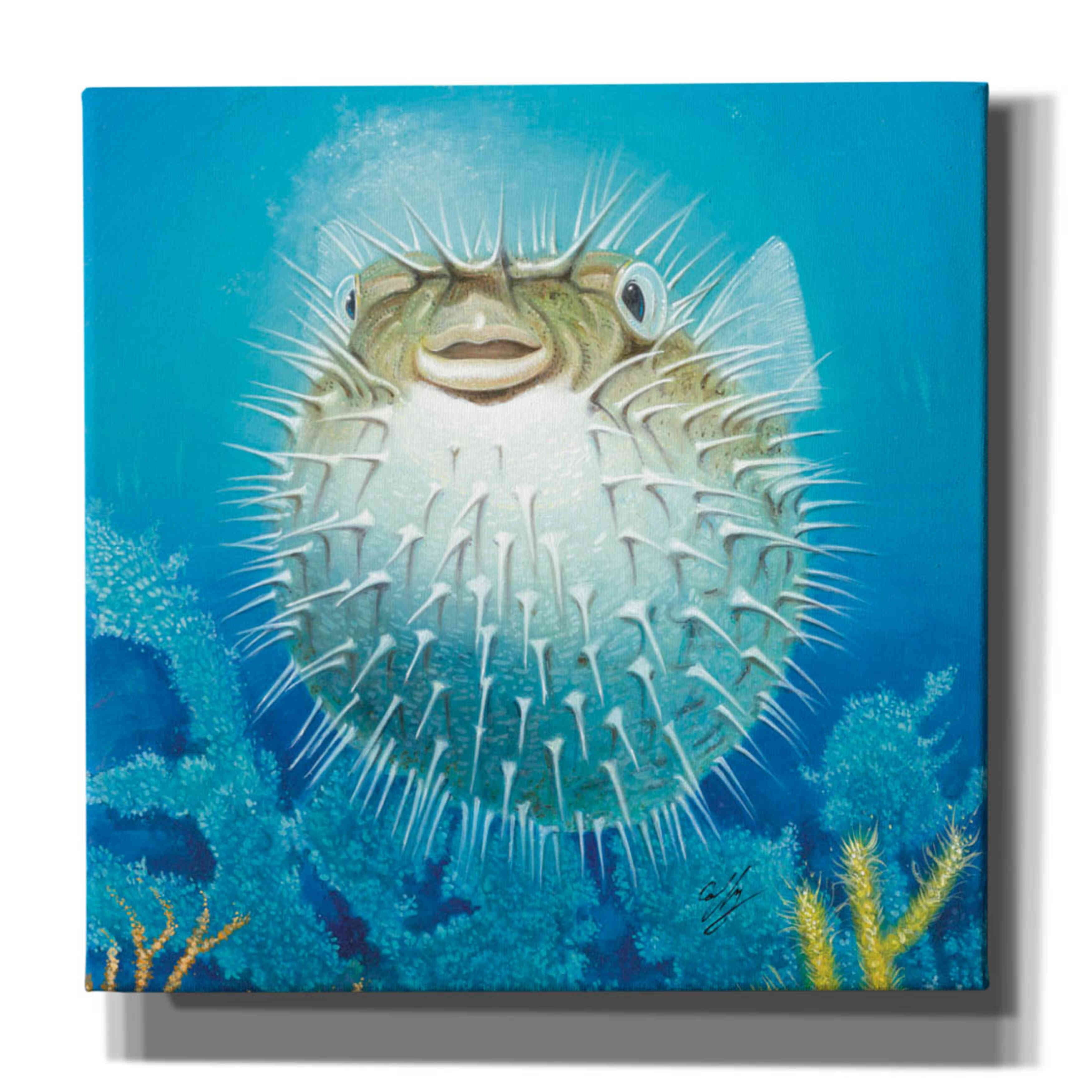 Epic Graffiti 'Puffer Fish' by Durwood Coffey, Canvas Wall Art, 37"x37 ...