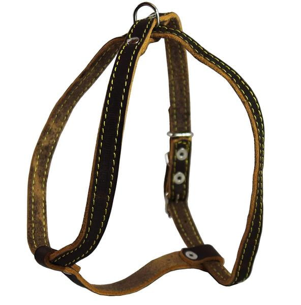 Real Leather Dog Harness, 15"-19" Chest size, 1/2" Wide, Poodle ...