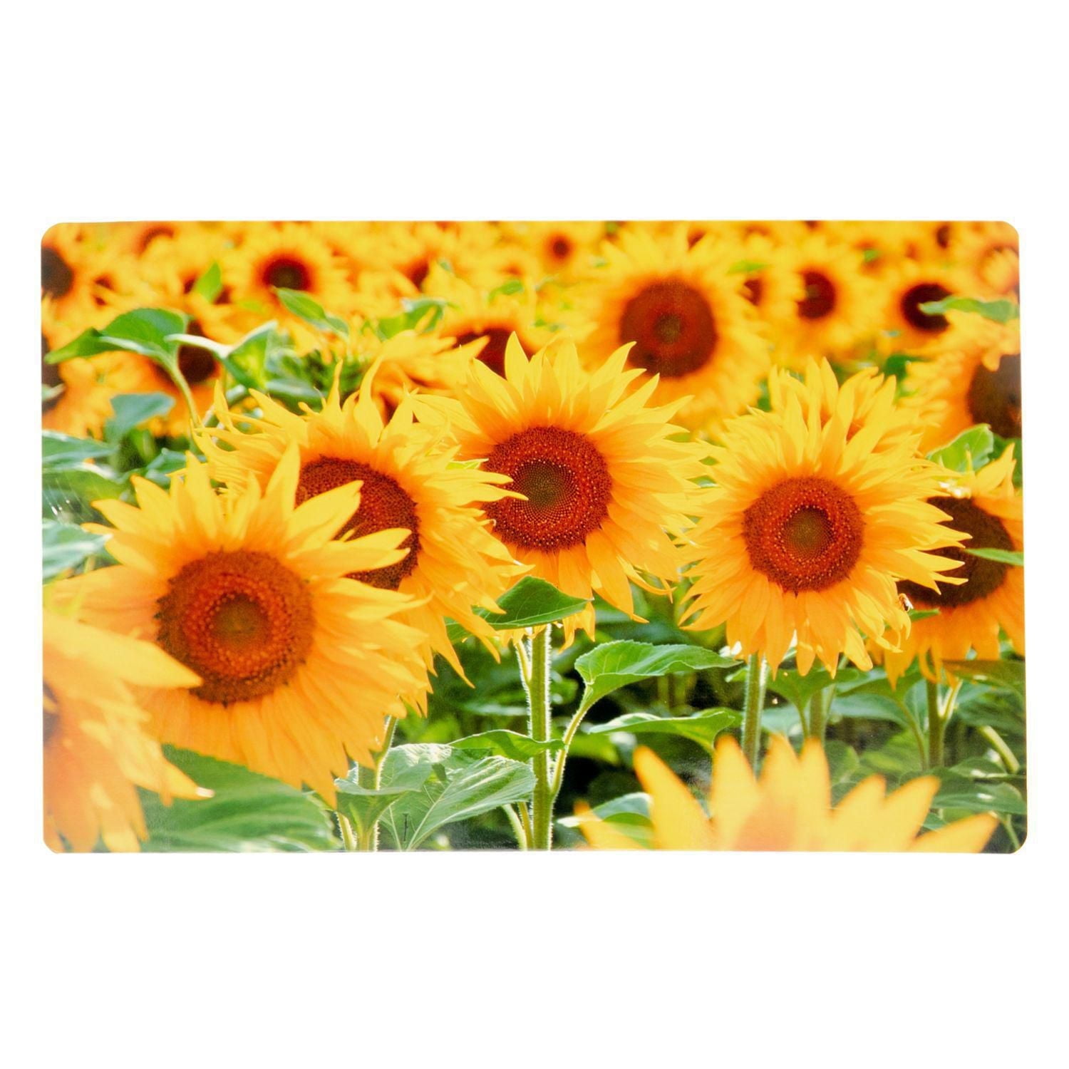 Click here for Ih Casadécor Plastic Placemat (Sunflower Field)-Se... prices