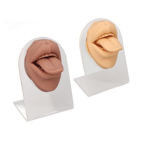 Tongue Mouth Model, 3D Mouth Model For Hospital For Novice | Walmart Canada