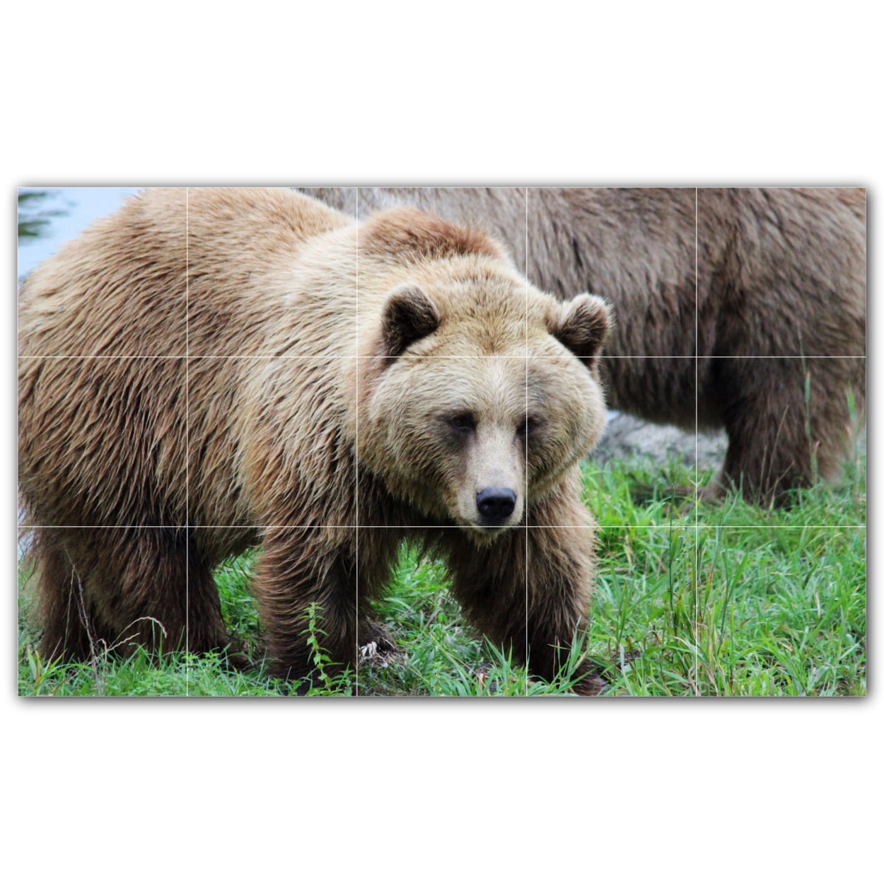 Picture-Tiles.com: Bear Ceramic Tile Wall Mural WAL500131-53XL. 60"W x ...