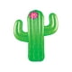BigMouth Inc Giant Cactus Pool Float, 5' Tall Funny Inflatable Vinyl ...