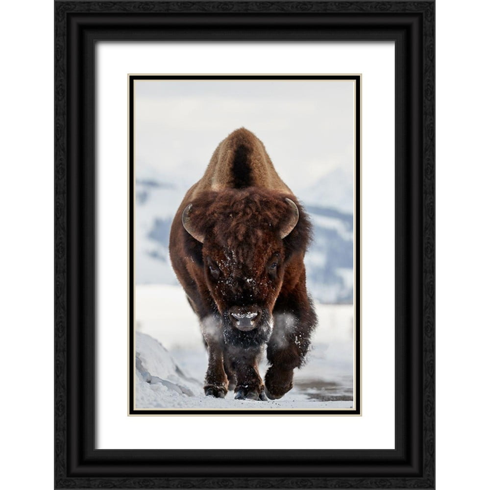 Hudson, Peter 11x14 Black Ornate Wood Framed with Double Matting Museum ...