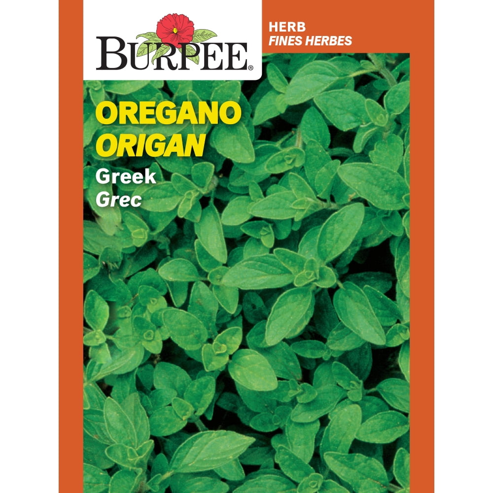 Click here for Burpee Canada Burpee Greek Oregano prices