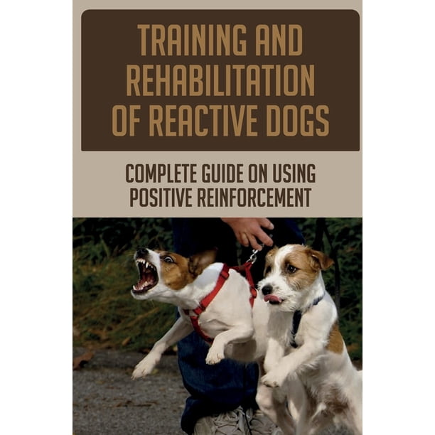 What Makes A Dog Reactive