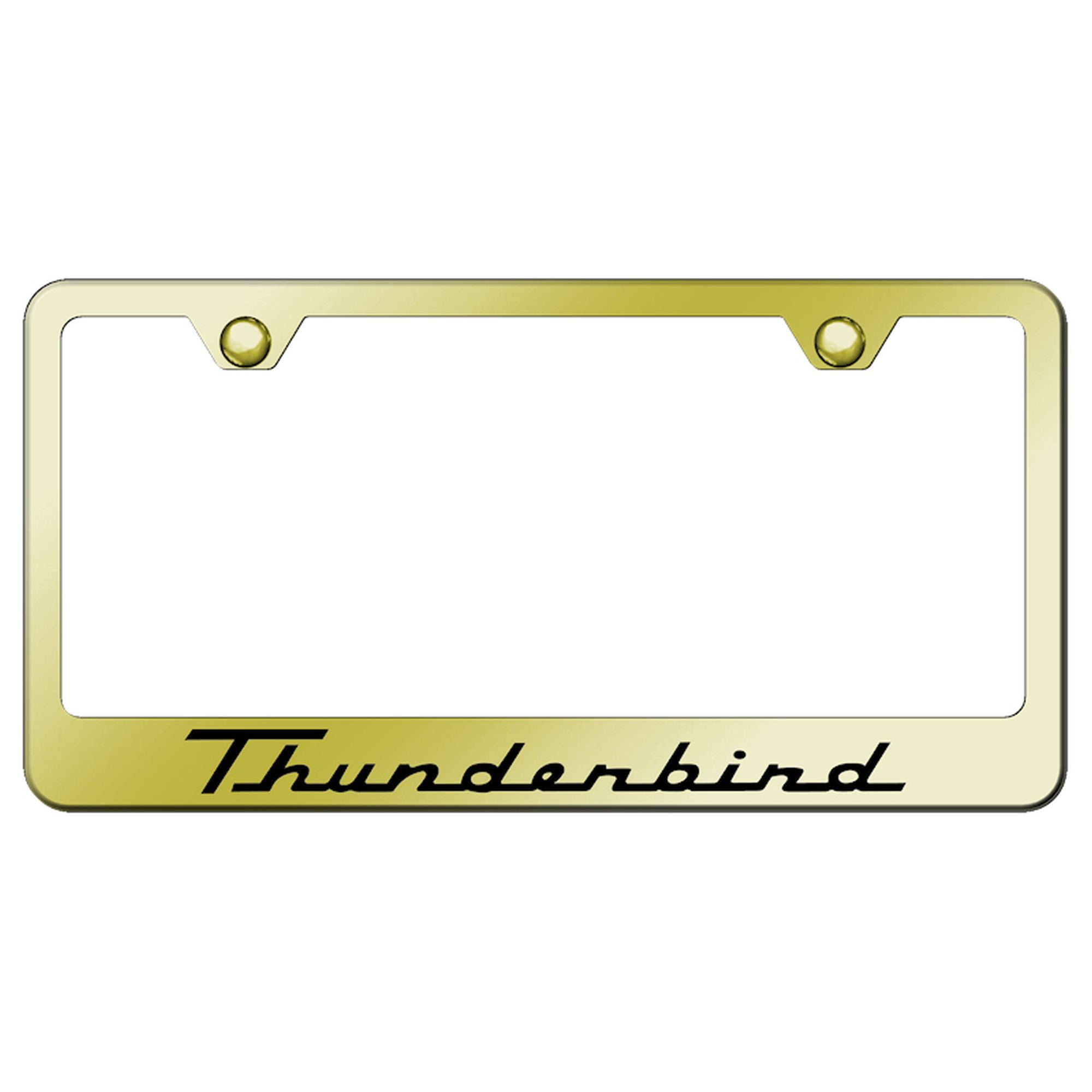 Ford Thunderbird Laser Etched Logo Stainless Steel License Plate Frame ...
