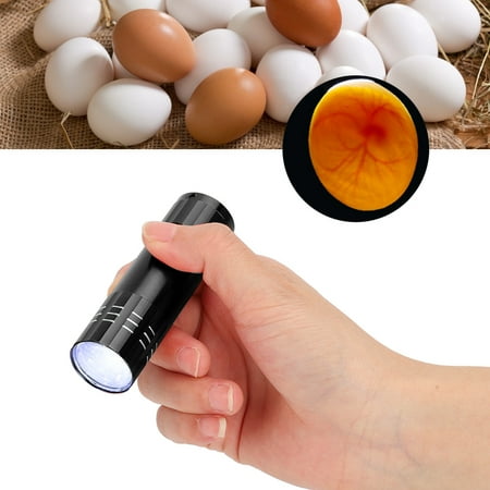 Integrally Formed Egg Candling Lamp, Quail Egg Candler, Egg Candling ...