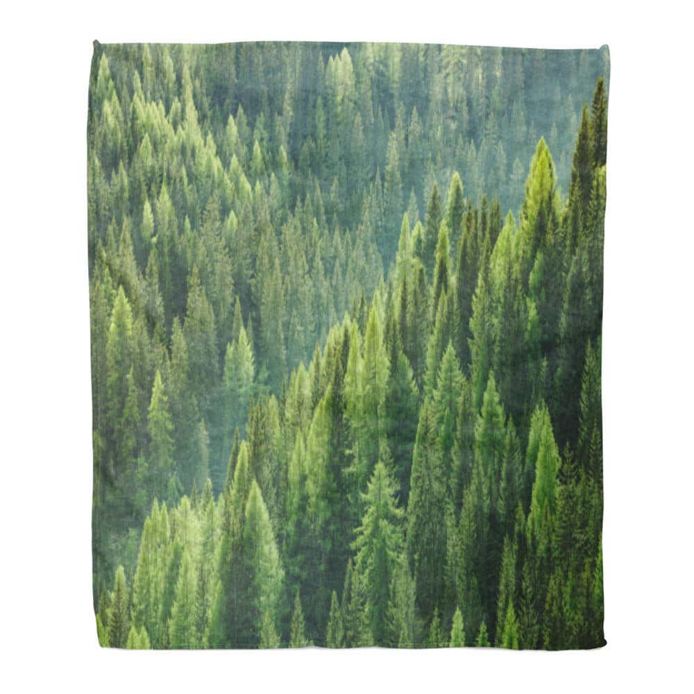SIDONKU Throw Blanket Warm Cozy Print Flannel Healthy Green Trees in ...