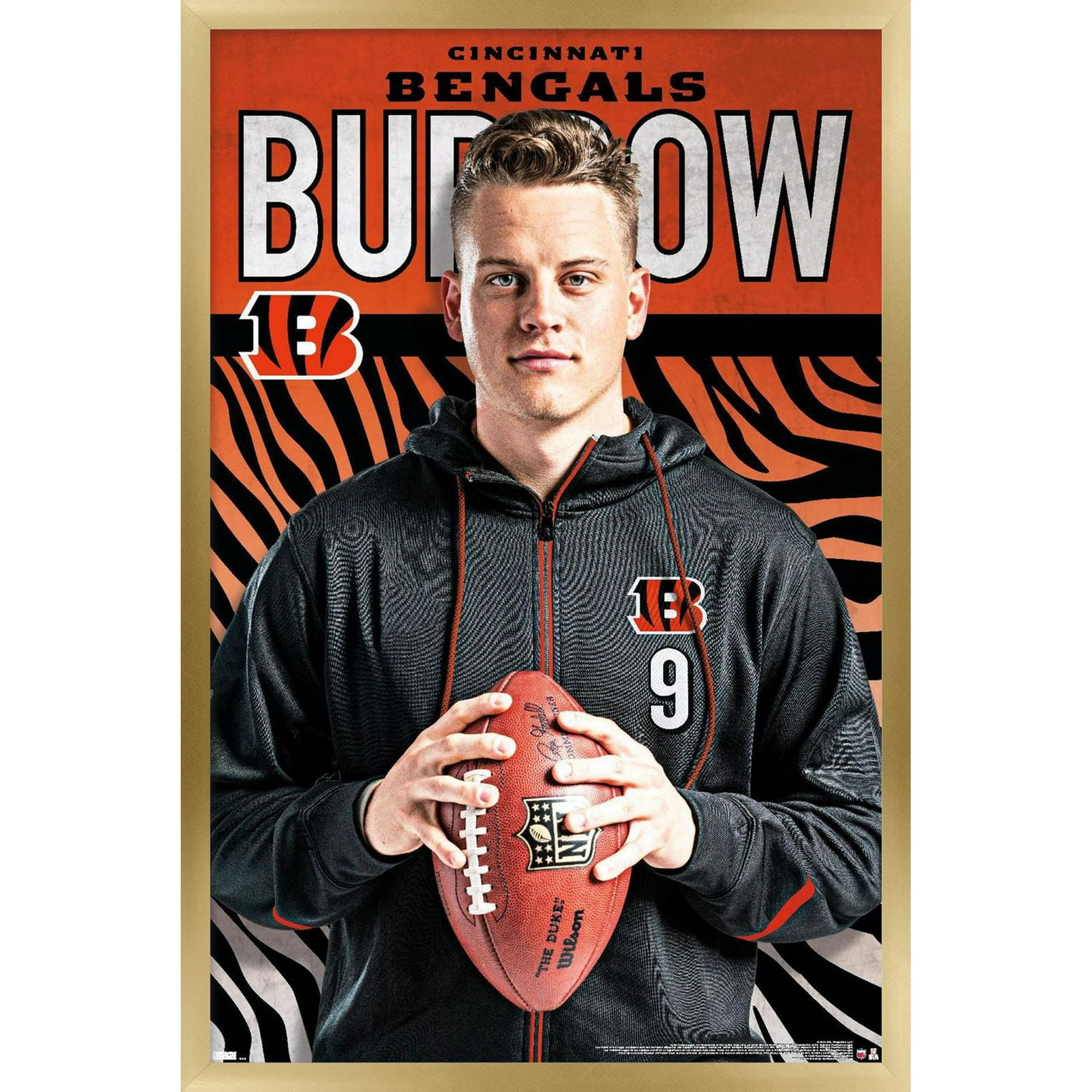 Click here for Trends International Nfl Cincinnati Bengals - Joe... prices
