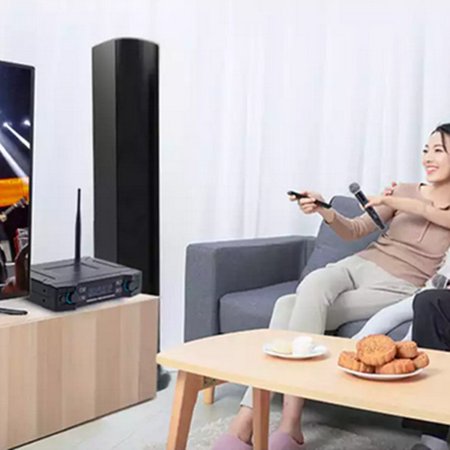 Wireless Microphone KTV Karaoke Conference Two-channel Automatic ...