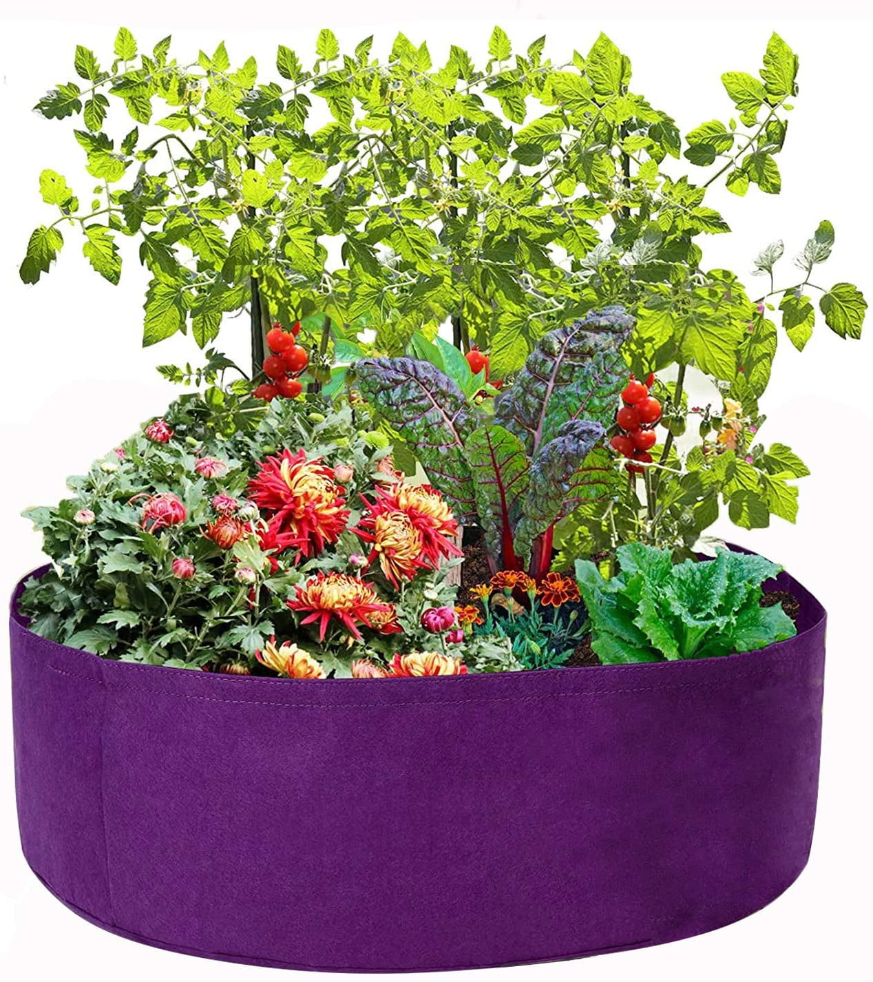 Buy Now Guaranteed Satisfied Shopping Made Fun 100 G F R G Bed P Grow buy-now-guaranteed-satisfied-shopping-made-fun-100-g-f-r-g-bed-p-grow