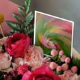 3drose, Swirl Created by Multiple Exposure of Pink Flower - Na02 ...