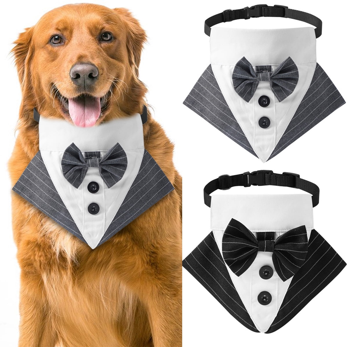 Dog Tuxedo Pattern