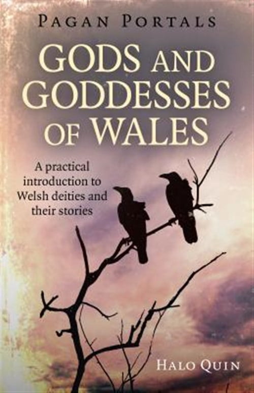 Pre-Owned Pagan Portals - Gods and Goddesses of Wales : A Practical ...