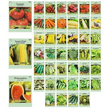 Set of (43) Current Year Assorted Vegetable & Herb Seeds - Create a ...