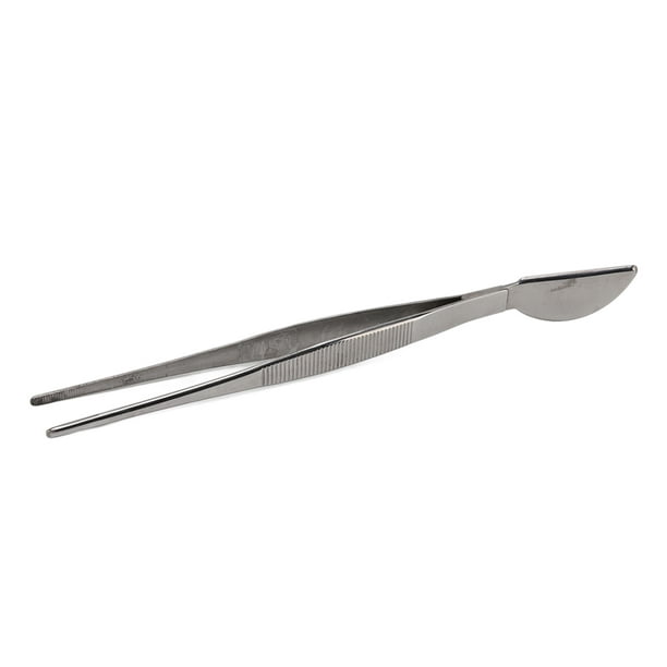 Pinzas para bonsái de acero inoxidable, pinzas largas con cabeza de ...