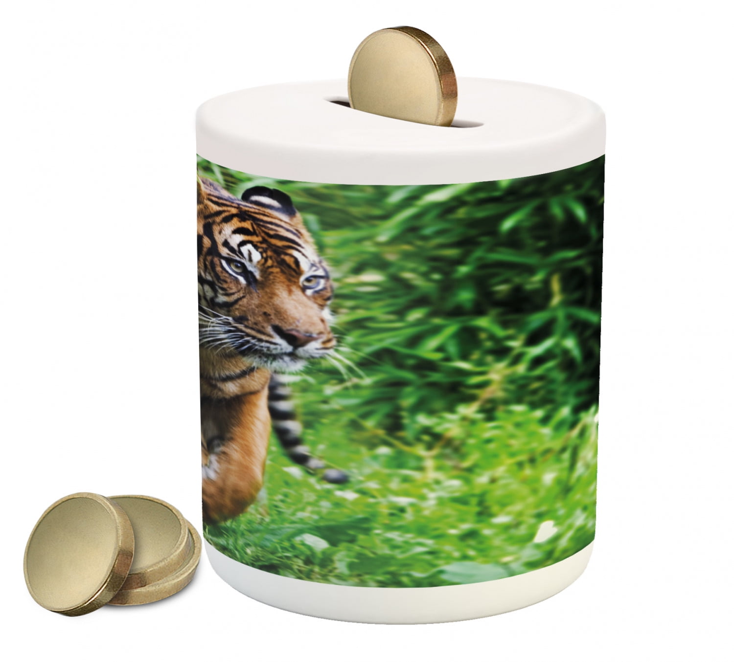 Tiger Piggy Bank, Siberian Large Feline at Zoo Wildlife at Captivity ...