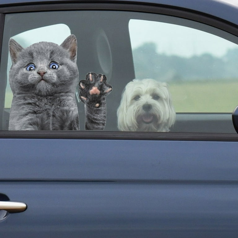 Cat Looking Out Car Window