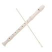 HOKARUA 1 Set Soprano Recorder Practice Recorder Plastic Flute 8-hole ...
