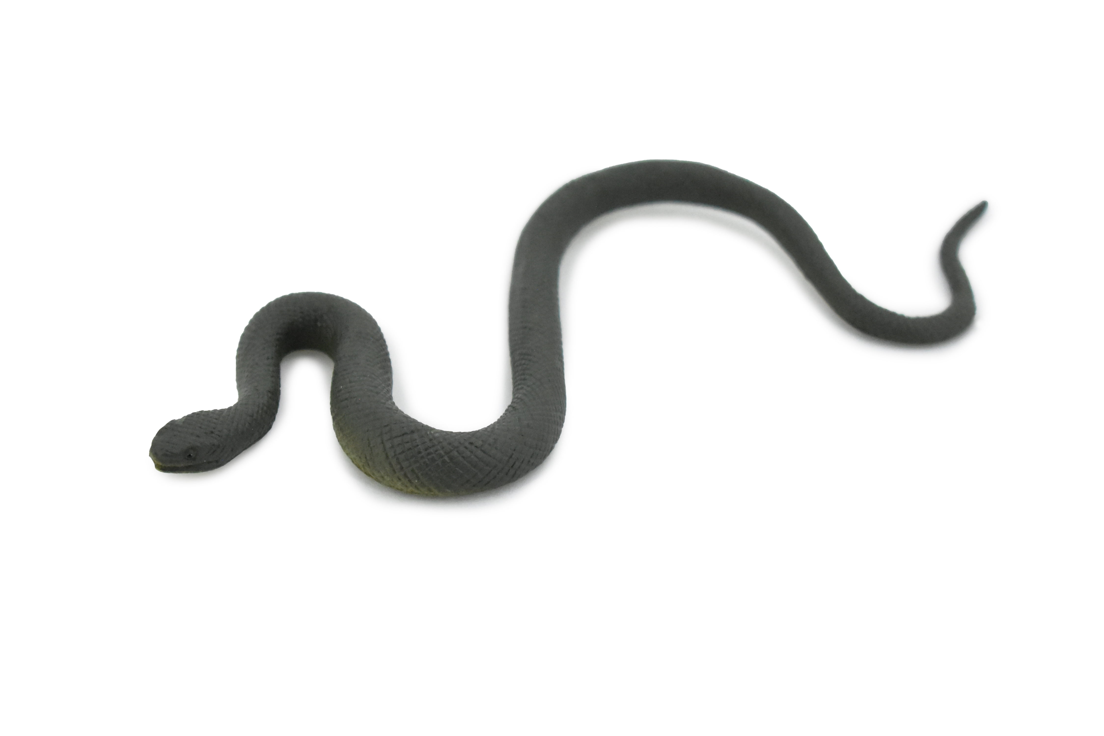 Snake, Smooth Earth Snake, Rubber Reptile, Educational, Realistic Hand ...