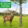 48 Inch Tree Trunk Protector, 8 Pcs Metal Mesh Tree Guards Trunk ...