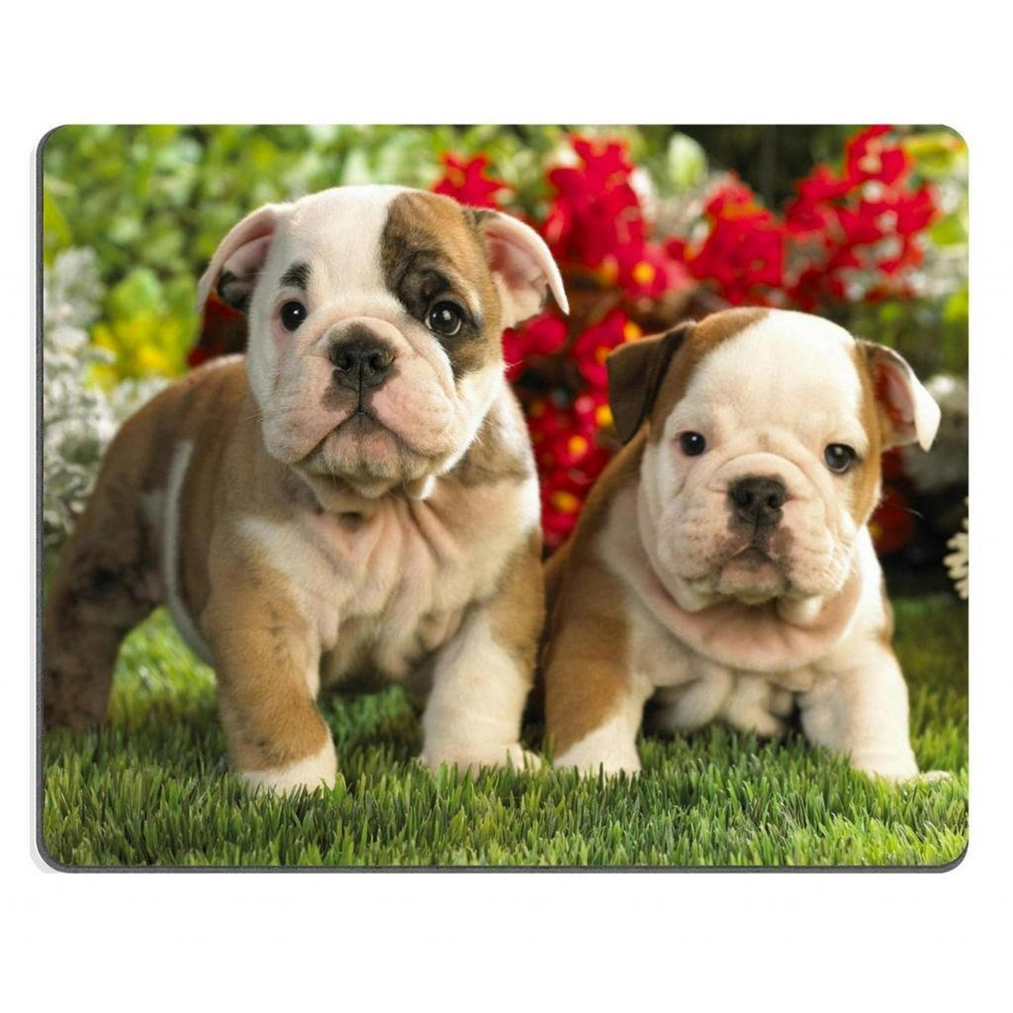 Click here for Erehome Bulldog Puppies Dogs Pets Garden Mouse Pad... prices