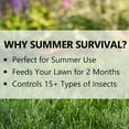 Jonathan Green Summer Survival Grass Insect Control Plus Lawn ...