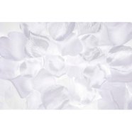 Wilton Place Cards, Ivory, 60 Ct - Walmart.com