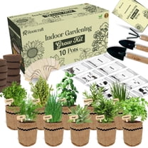 10 Herb Seeds Garden Starter Grow Kit with Green Pots, Markers ...